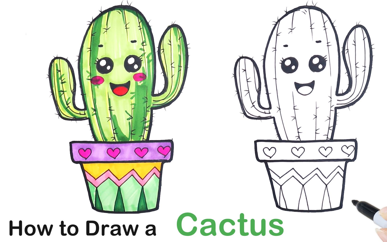 ...a Cactus Easy and Cute! Easy Drawings for kids西瓜宝宝学画画学英语