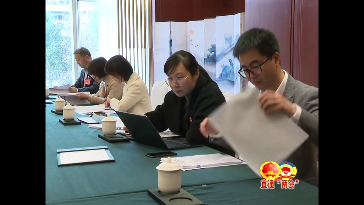 关注苍南“两会”|县政协十届五次会议共收到提案218件