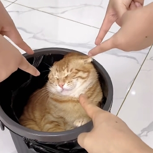 歪腰哥哥 