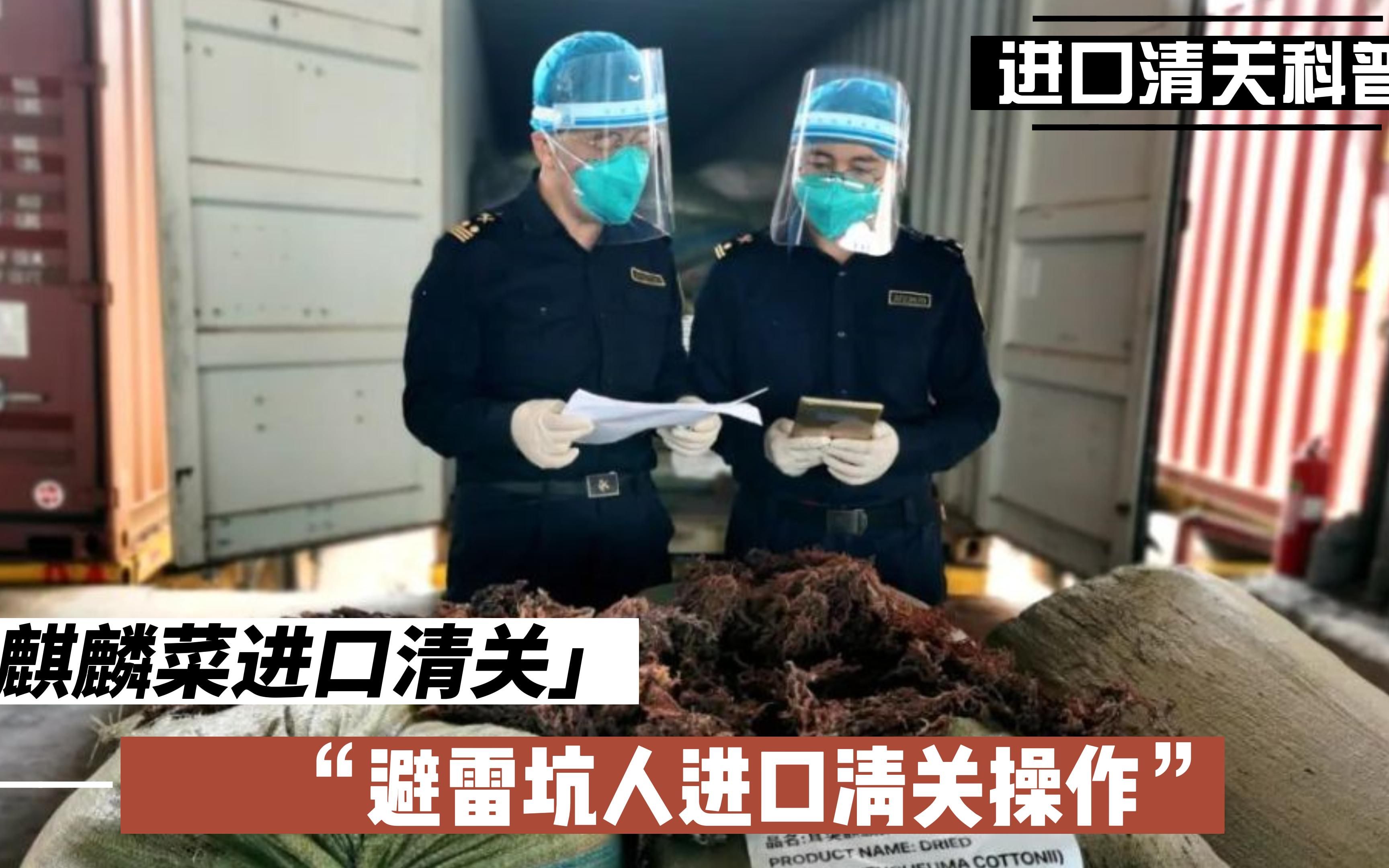 麒麟菜进口清关避雷坑人进口清关操作