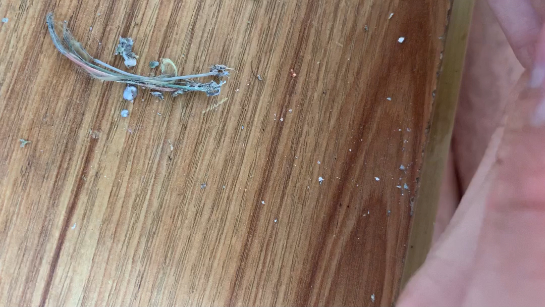 苹果usb无损拆解
