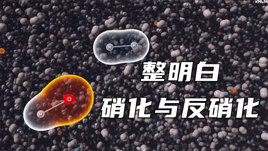 养鱼必须整明白,硝化与反硝化