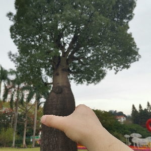 琪琪家萌宠 