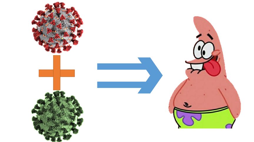 奥密克戎和德尔塔成功合体、但生了个“傻子”