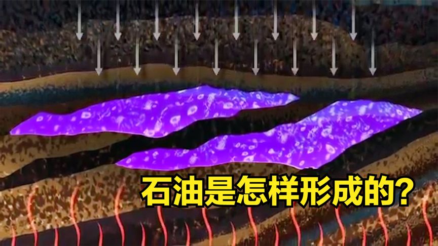 石油是怎样形成的?动画演示全过程,1分钟了解石油背后的科学