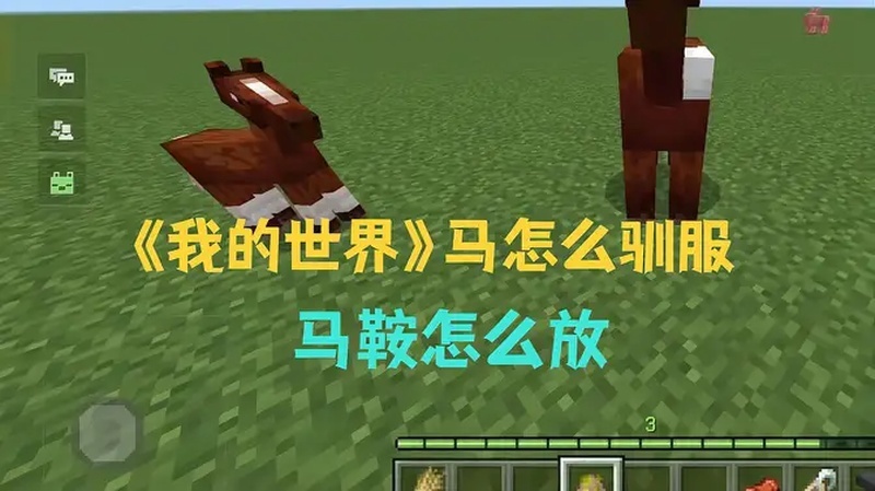 《我的世界》中如何驯服马,马鞍怎么装