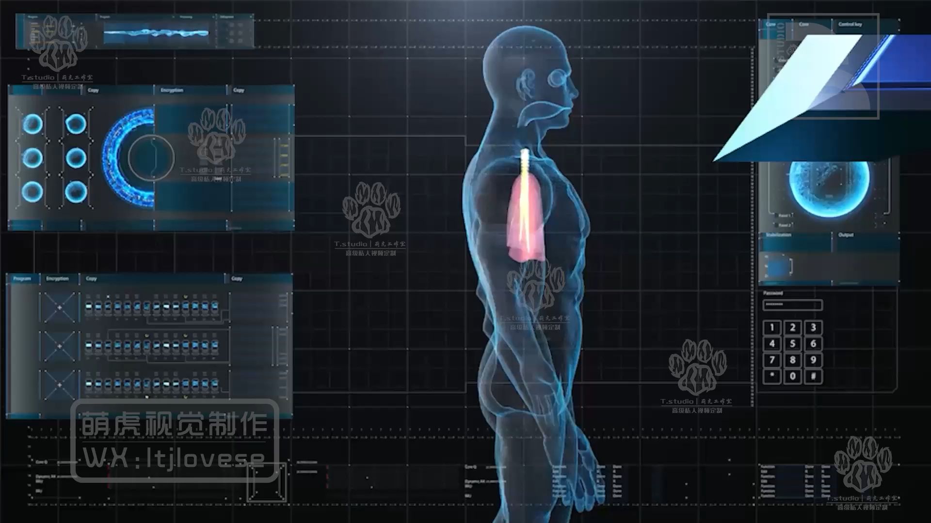 ...宣传视频,3D人体展示,医疗宣传广告视频,医院大厅大屏幕宣传播放视频