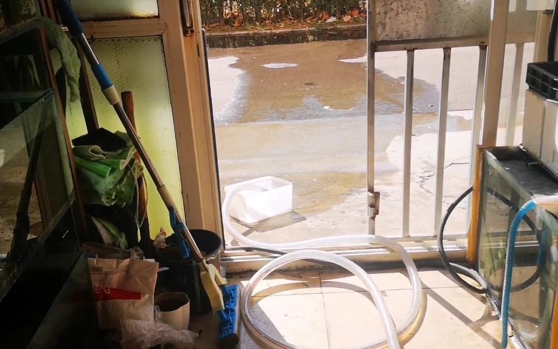 简单粗暴的利用一根管子和虹吸原理,快速的把鱼缸里的水换出去