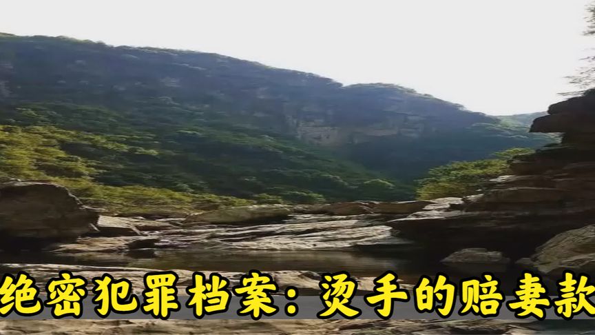 绝密犯罪档案:烫手的赔妻款