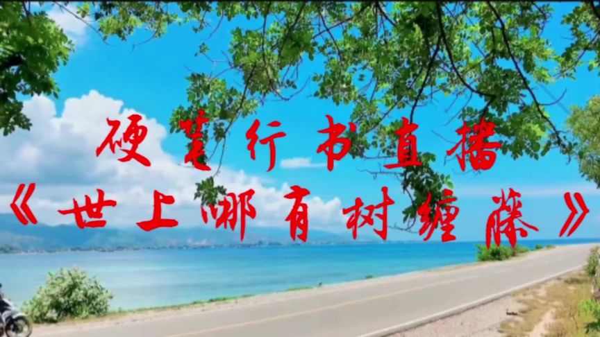硬笔行书直播:《世上哪有树缠藤》#硬笔书法教学 #学写中性笔