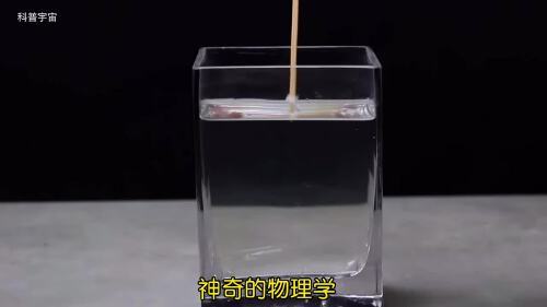 你很少预料到的物理学常识,其实就在我们的生活周围科学小实验科学...