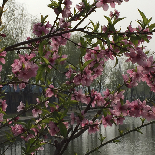 他家门口看到你和她 