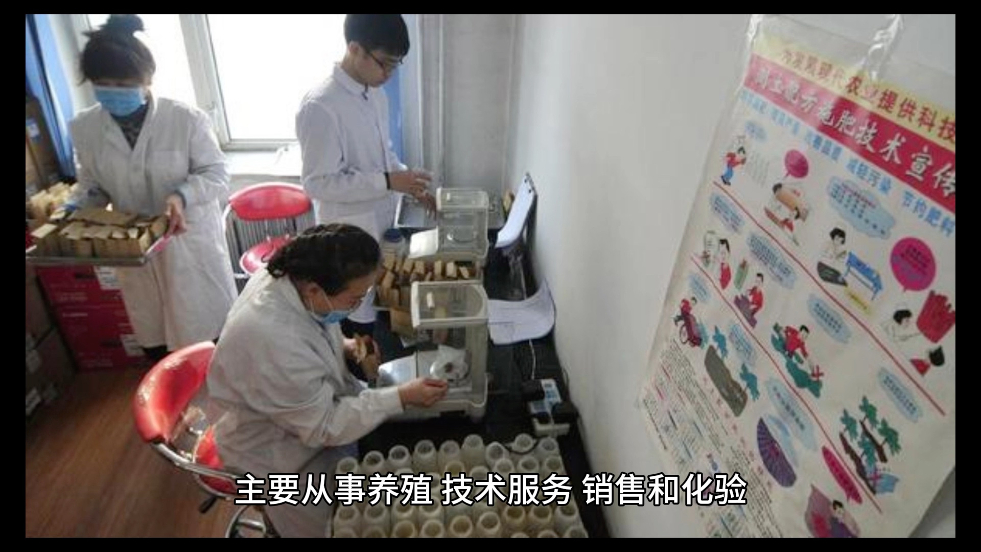 小自考专业介绍丨动物医学