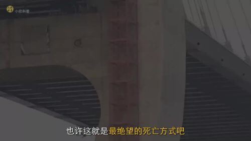 也许这就是最绝望的死亡方式了吧 科普 热点新闻事件 小欣科普