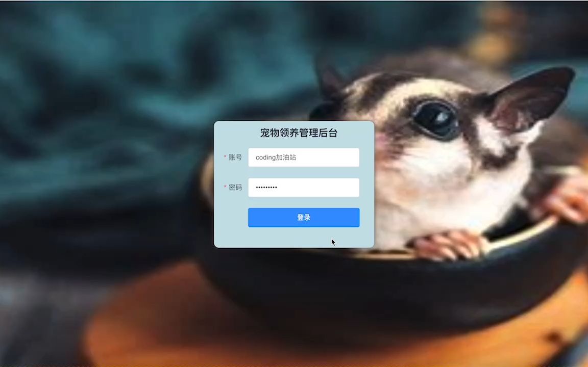 【coding加油站】vue网站设计---宠物领养管理后台
