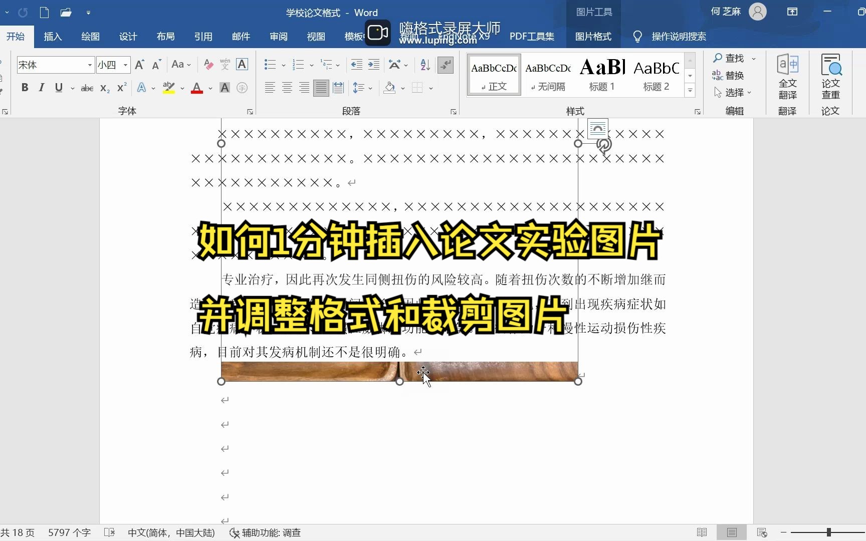如何快速插入论文实验图片并且不弄乱格式