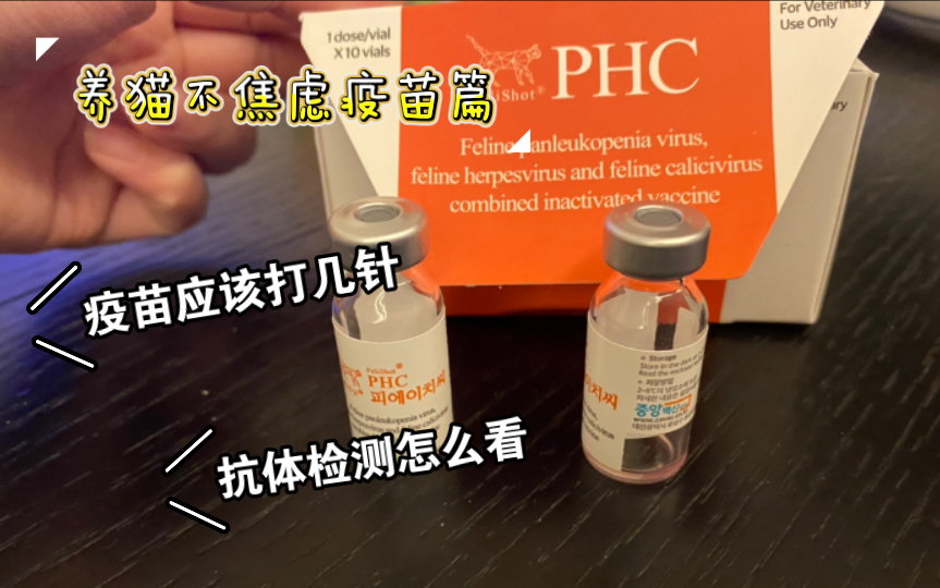 养猫不焦虑之疫苗篇~疫苗到底怎么打,抗体检测怎么做(附phc疫苗抗体...