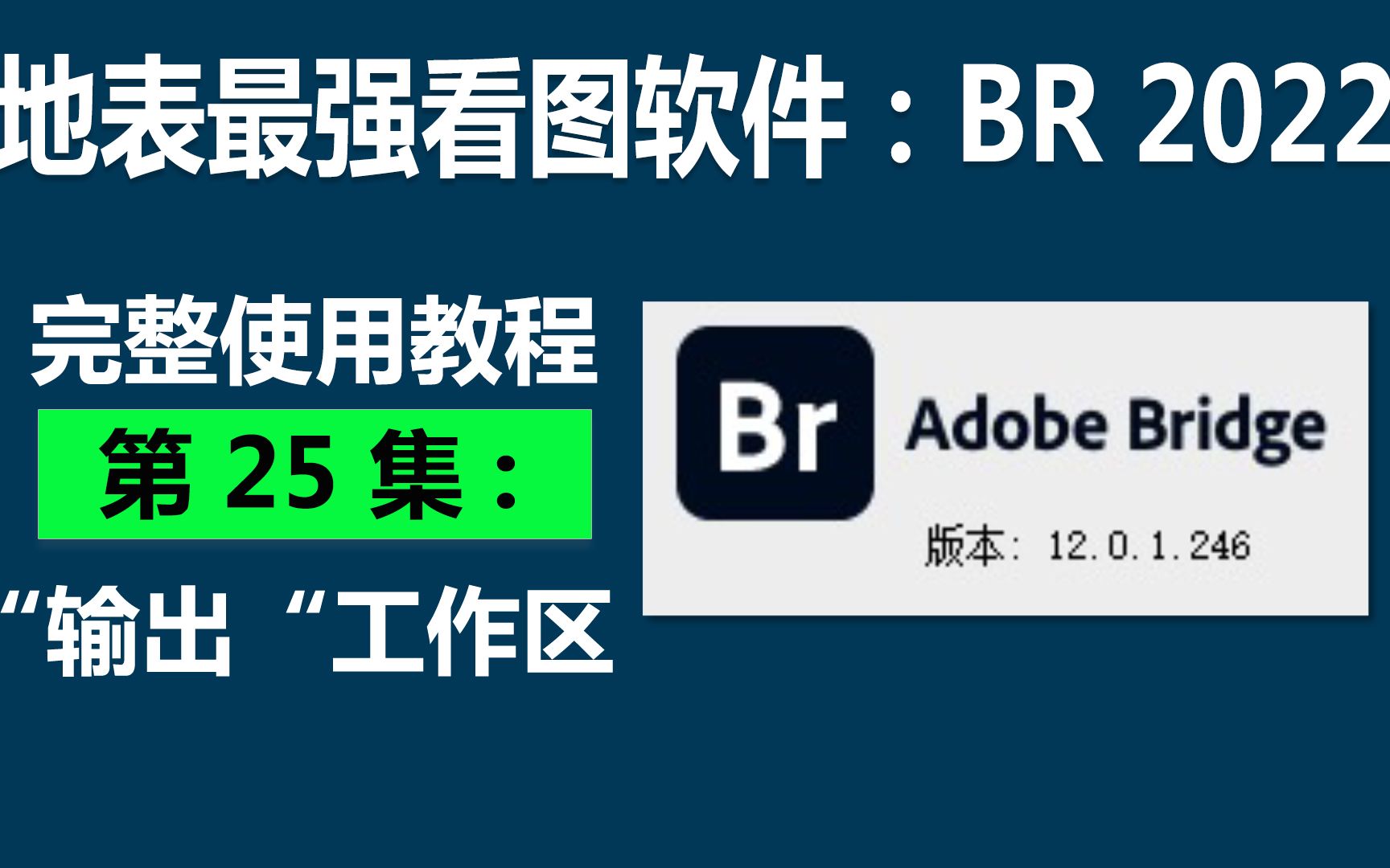 地表最强看图软件:BR2022完整教程第25集“输出”工作区