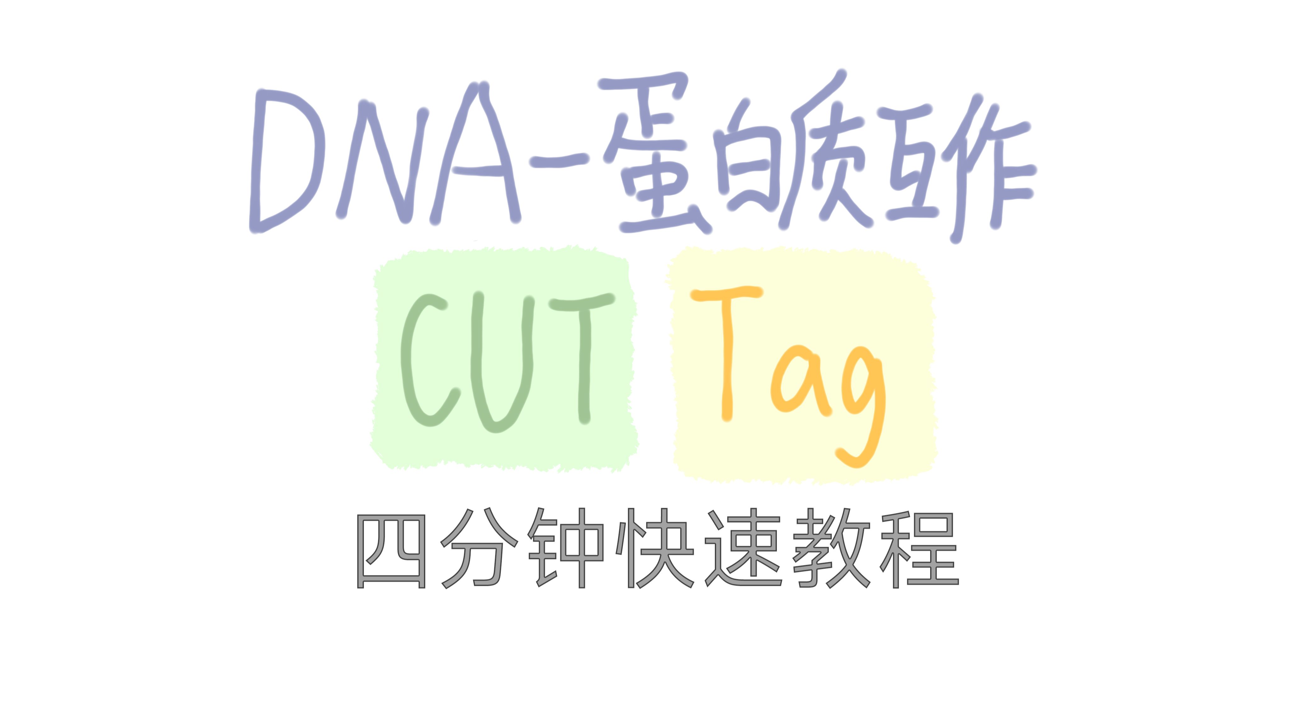 表观系列 CUT-Tag实验 四分钟快速教程
