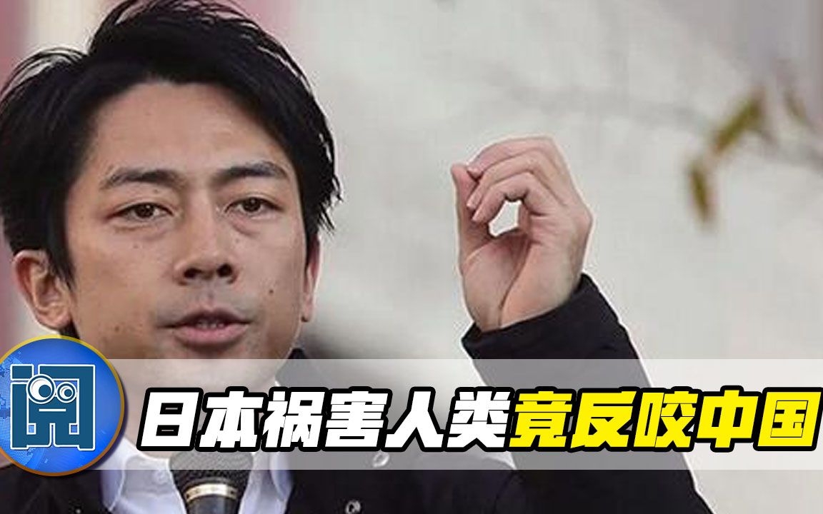 日本成“人类公敌”,祸害全球之际还反咬中国,赵立坚火速回击