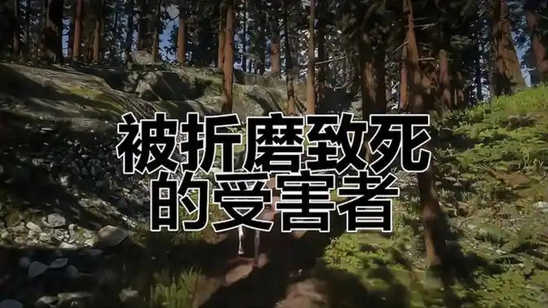 荒野大镖客2:残忍谋杀与复仇