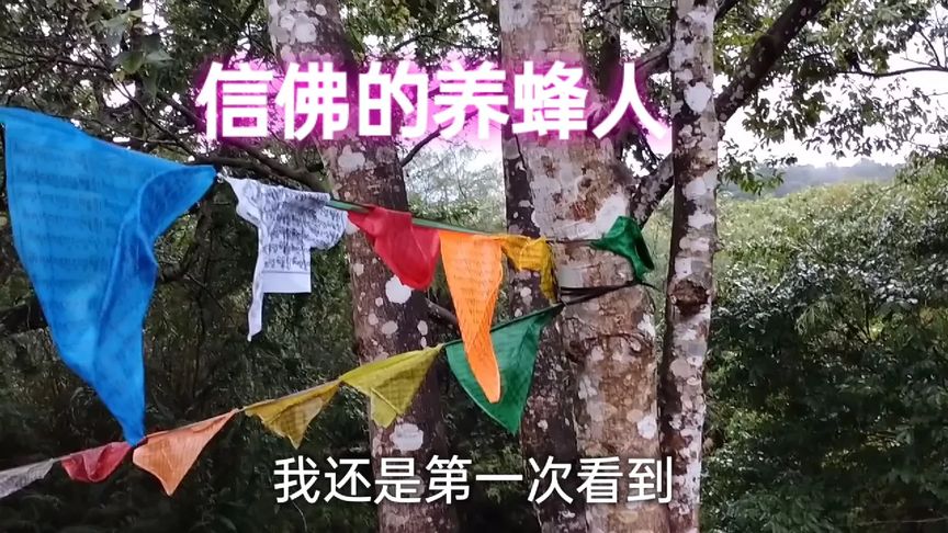 海南山上居然发现经幡,风马旗,难道这里也有人信仰藏传佛教?