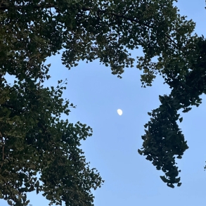 梨子山楂芋泥麻薯奶茶 