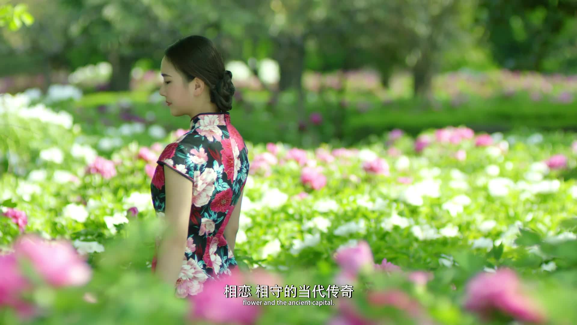 洛阳2019城市宣传片 丝绸之路起点最早的中国欢迎你