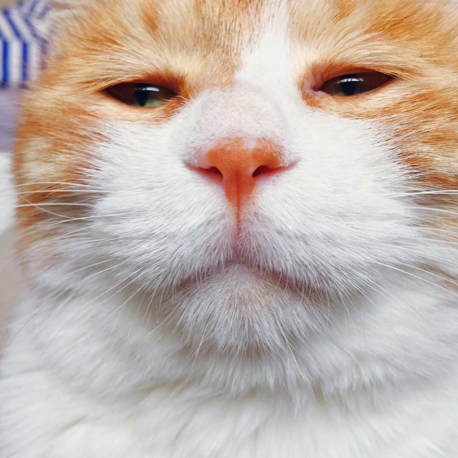 233追风少年 