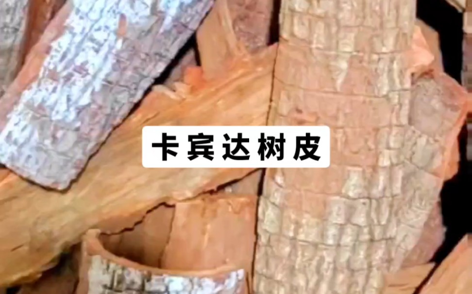 非洲树皮安哥拉树皮卡宾达树皮泡酒药材泡酒材料泡酒料泡茶