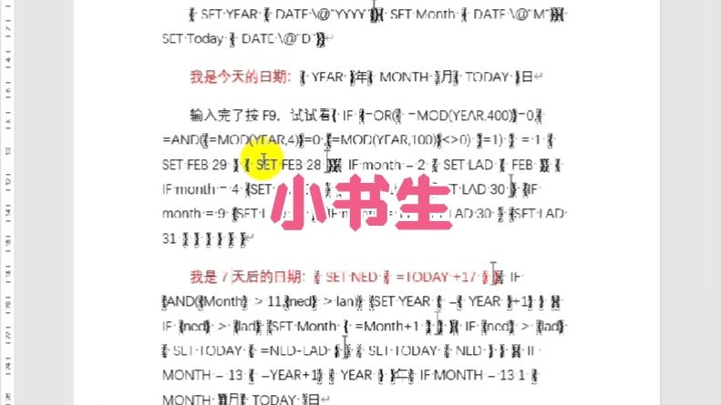 word域代码