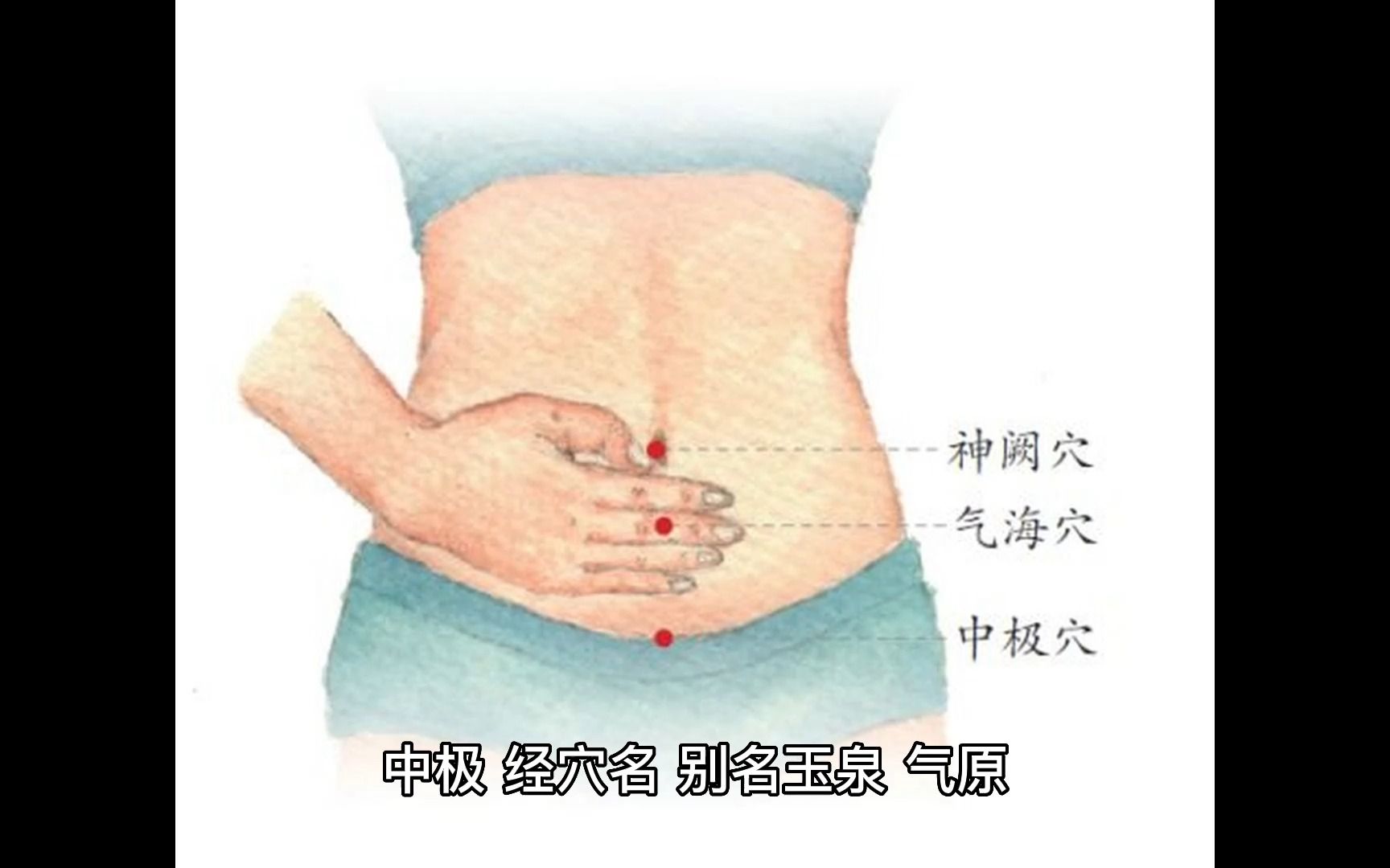 每日养生一穴之中极穴