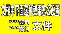 文档中怎么制作双行合一的效果