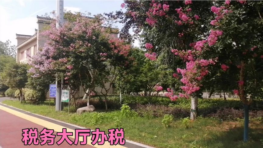 顶着烈日去税务大厅,办理出口退税备案,结果只能周一再来!