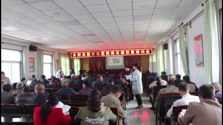 林业发展中心科技下乡服务林农