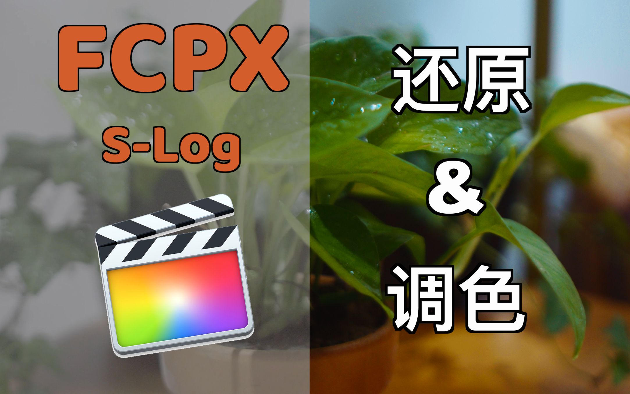 【新手向】使用FCPX快速还原你的Sony S-Log3颜色以及调色|Final ...