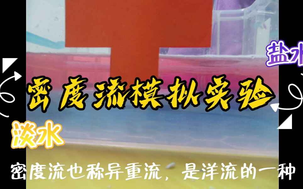 【手工丨自制】密度流模拟实验!