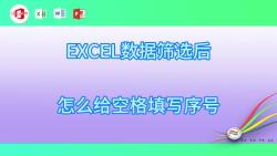 EXCEL数据筛选后怎么给空格填写序号-30