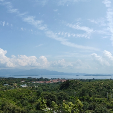 董游记vlog 