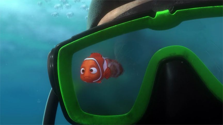 海底总动员:叛逆期的小丑鱼,爸爸操碎了心