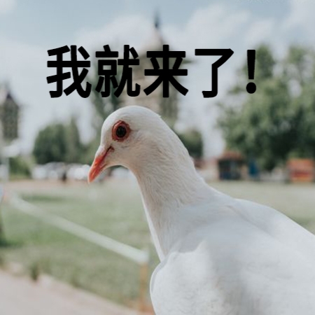 漆黑中睡醒的王丶岑 