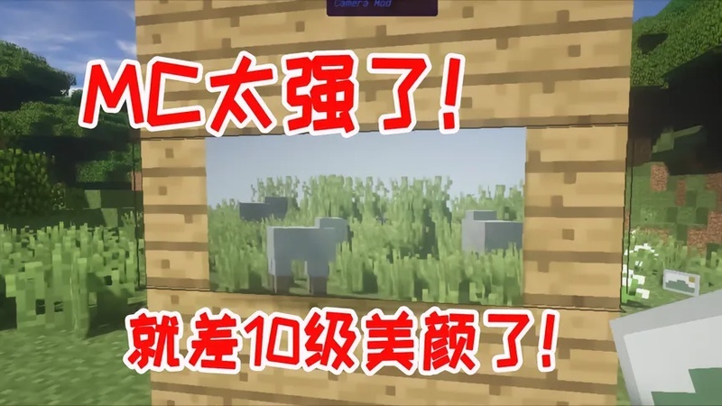 我的世界:MC真的无所不能这mod太真实了,能开十级美颜吗