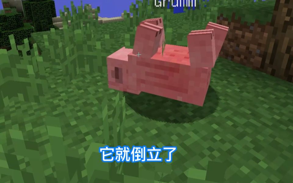 我的世界命名牌还能这么用?