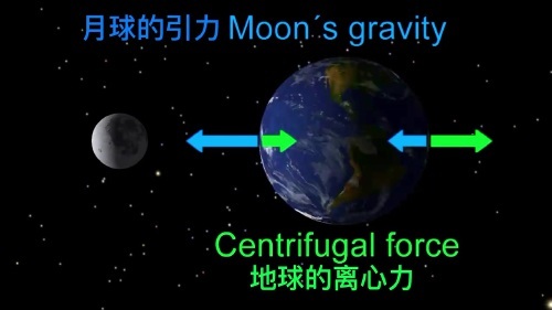 潮汐现象的简单演示