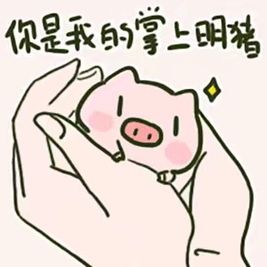白昼流星雨 