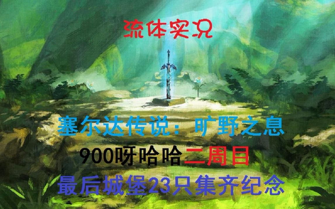 【流体实况】塞尔达传说:旷野之息 900呀哈哈二周目 最后城堡23只集...
