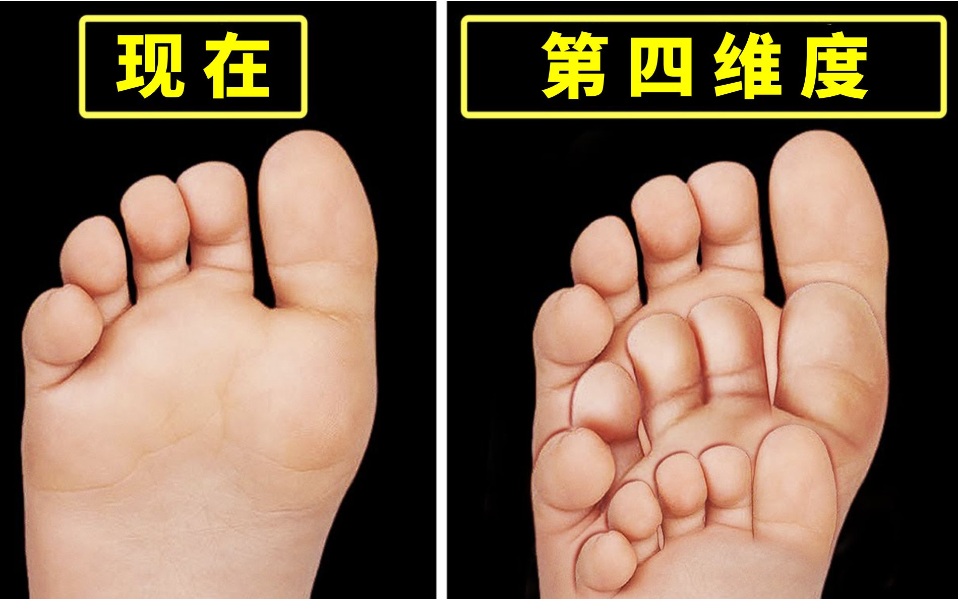 超硬核科普|四维空间到底是怎么样的?