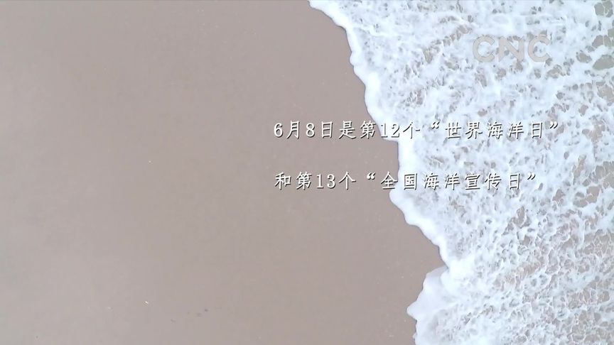  保护“海上卫士”红树林 保护海洋生态