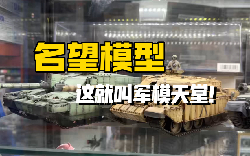 【探店叨逼叨 名望模型】北京专做军模的线下实体店