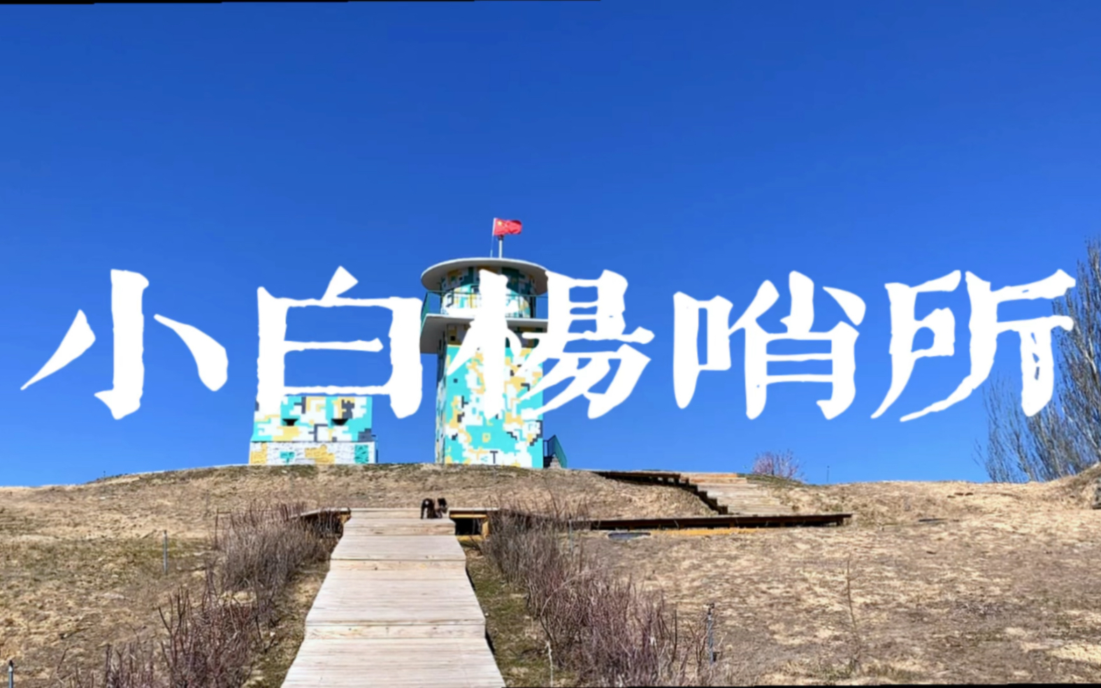 打卡中哈边境小白杨哨所